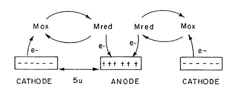 Method And Device For Electrochemical Immunoassay Of Multiple Analytes