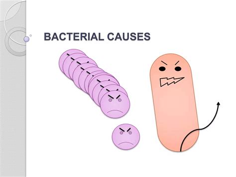 Bacterial Etiologies Of Pyrexia Of Unknown Origin Pptx