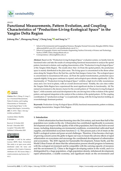 Pdf Functional Measurements Pattern Evolution And Coupling