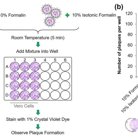 Inactivation Activities Of 10 Formalin And 10 Isotonic Formalin On
