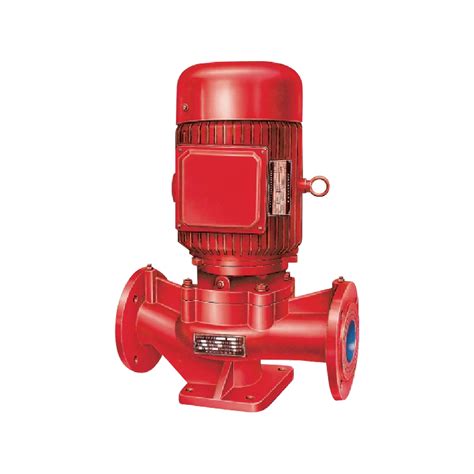 Other Pump Mizztech Group