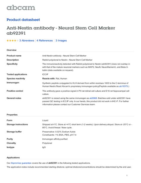 Anti Nestin Antibody Neural Stem Cell Marker Ab92391