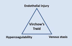 Virchow S Triad Virchow S Triad Neetpg Mbbs Mbbsdiaries Medschool