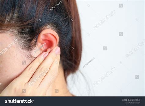 Auricle