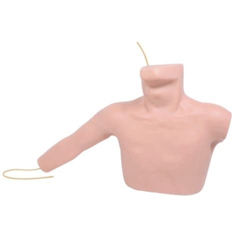 L65b Infant Bone Marrow Puncture Model Ari Medical Equipment Of High Quality Ari Medical