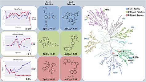 Compound Based Selectivity Profiles Left Exemplary Compound Download Scientific Diagram