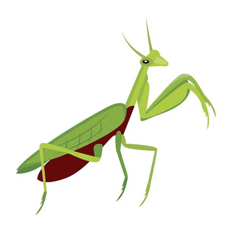 Weba Flat Style Icon Deciding Cute Stick Bug 47721322 Vector Art At