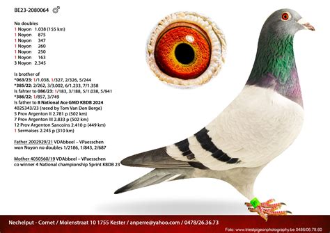 Nechelput Cornet Kester Be Kick Off The 2025 Season With A Bang On Noyon Pipa