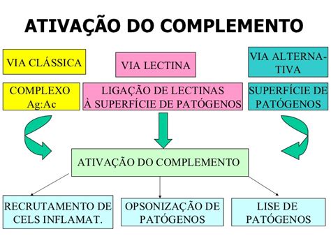Esquema Ativação Do Sistema Complemento 4 728 Imunologia