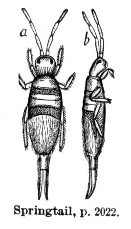 Depts Cisba Compsci Dailey Public Insects Testout Html