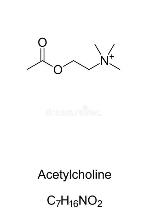 Acetylcholine Molecule Skeletal Formula Stock Vector Illustration Of
