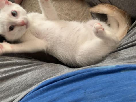 Emsie Uemsie Memsie Reddit