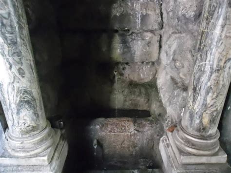 მზის შვილები