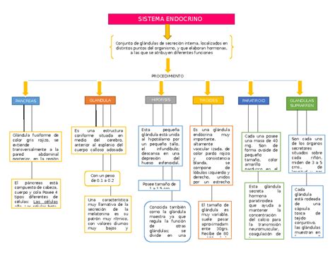 Mapa Conceptual Del Sistema Endocrino Mapa Mental Sistema