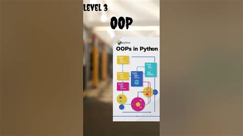 Roadmap Of Python Programmingpythonprogramming Python Code