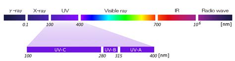 What Are Ultraviolet Rays