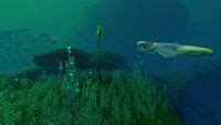 Brute Shark Subnautica Wiki Fandom