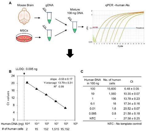 Quantification Of Human Cells By Alu J Specific Pcr Of Gdna A