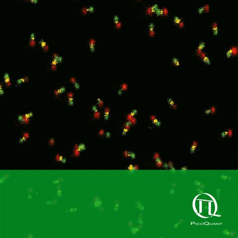 Molecules Spectroscopy Fluorescence Lifescience Imaging Picoquant