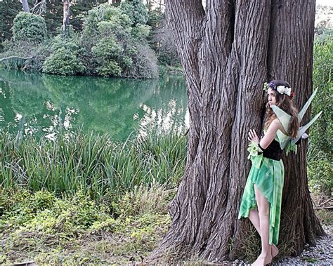 Pixie At A Tree Photograph By Don Mccunn Fine Art America