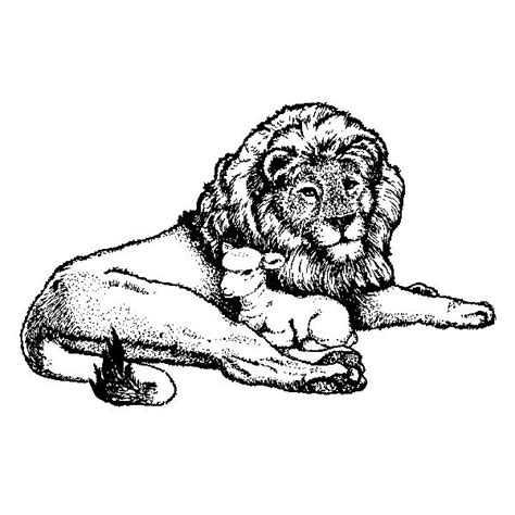 Lion And Lamb Black And White