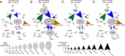 Flow Diagrams Of The Life Cycle In The Computational Simulation In Four Download Scientific