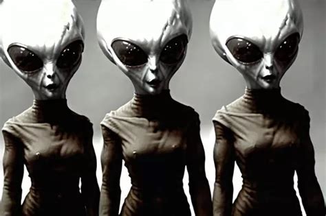 Skinny Bob Aieasypic