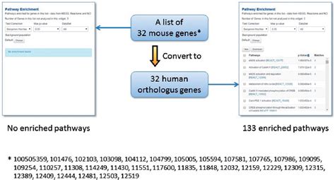 Figure 4 From An Integrative Data Analysis Platform For Gene Set