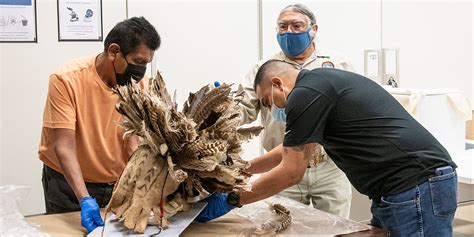 Cultural Resources Office For Repatriation Activities Amnh