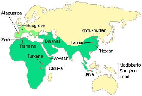 Homo Habilis Map