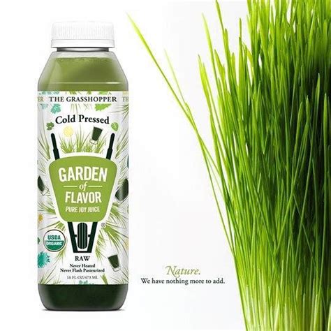 The Grasshopper Cold Pressed Juice With Wheatgrass And Plant Protein