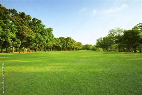 Beautiful Morning Light In Public Park With Green Grass Field An Stock