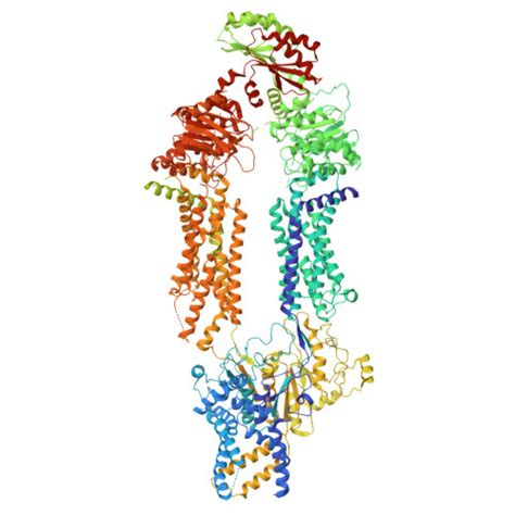 Rcsb Pdb 8edw Cryo Em Structure Of Human Abca7 In Bpl Ch Nanodiscs