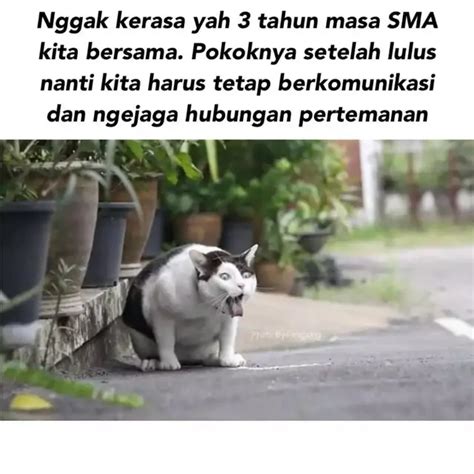 7 Meme Kocak Siswa Lulus Sma Ini Bikin Senyum Tipis Relate Banget