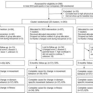 Flow Diagram For Enrollment Participation And Analysis Download Scientific Diagram