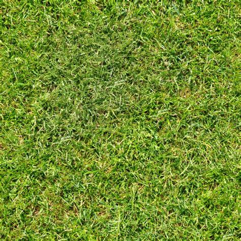 Free Short Green Grass Seamless Texture
