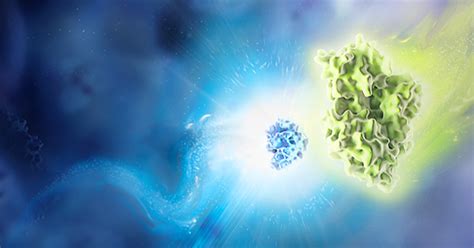 Crisprcas9 Hibit Knock In A Scalable Approach For Studying Endogenous