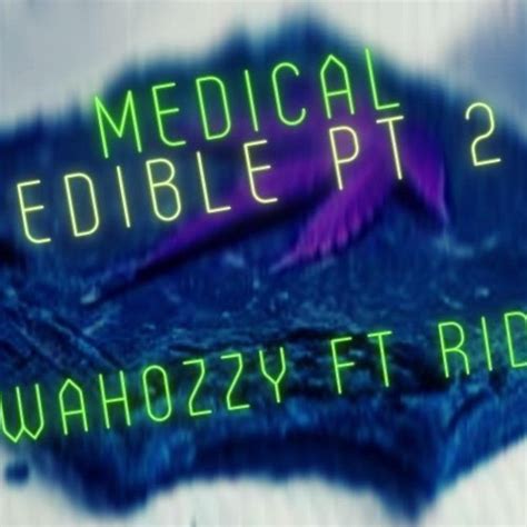 Medical Edible Pt 2 Sencillo De Wahozzy Spotify