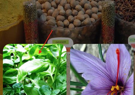 Ios Animations By Tutorials Chapter 19 Presentation Controller