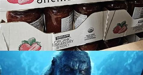 That Will Cover The Taste Of Maggoty Bread Album On Imgur