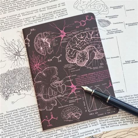 The Living Code Anatomy Neuroscience Evolution And Genetics Atoms To