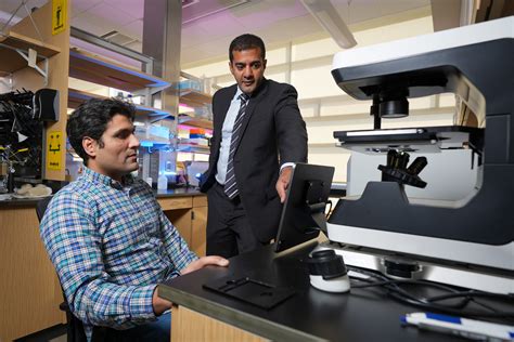 Iu Led Team To Develop Ai Driven Prediction Model For Sinus Surgery Patients