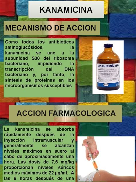 Kanamicina Antibióticos Medicamentos Con Receta
