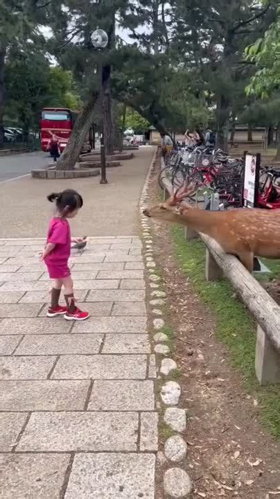 Raj Dubey Posted On Linkedin