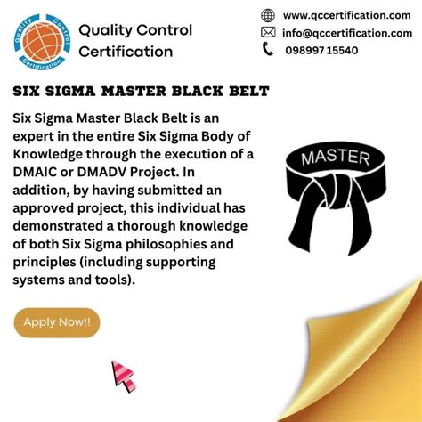 1 Month Six Sigma Master Black Belt Training At Best Price In New Delhi