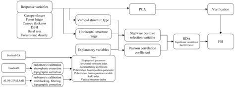 Remote Sensing Free Full Text Forest Structure Mapping Of Boreal Coniferous Forests Using