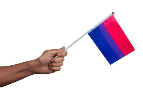 Bulk Small Bisexual Flags On A Stick For Pride Parades Bulk Lgbtq