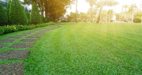 Complete Lawn Care Schedule For Texas In 2025