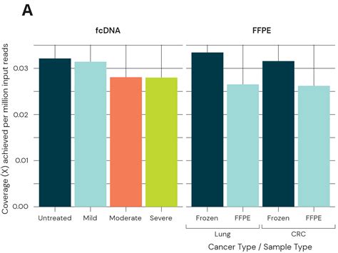 Genetic And Epigenetic Study Of Formalin‑damaged Ffpe Dna With 6 Base
