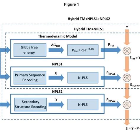 Parallel Hybrid Model Structure Describing Protein Expression Y As